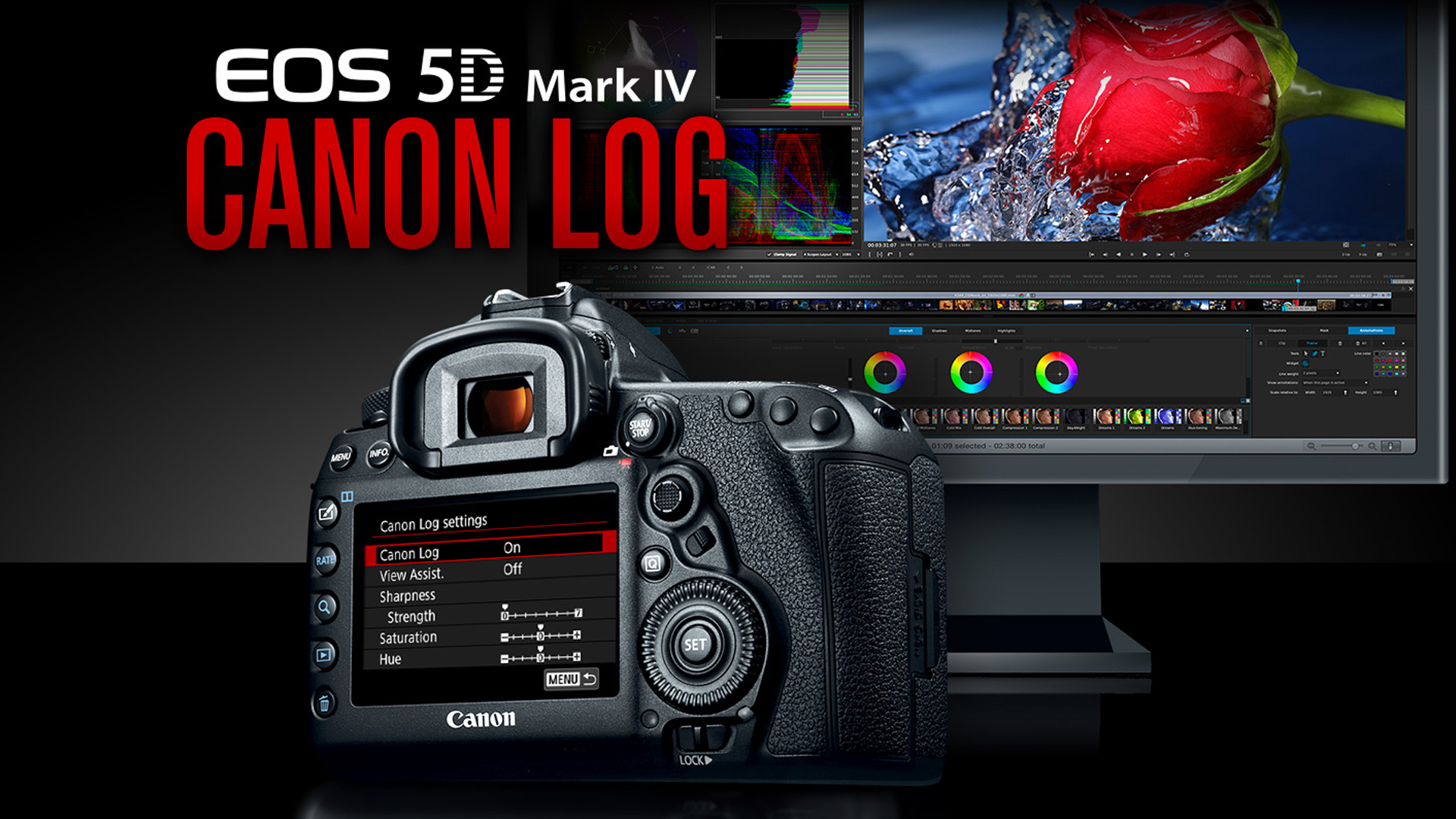 5D Mark IV 官方C-Log釋出 | 杰客森林