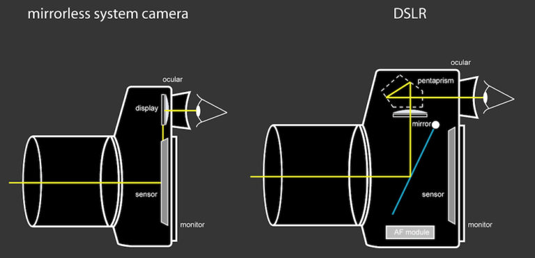 EVF電子觀景窗：無反相機的成功要素 - 杰客森林