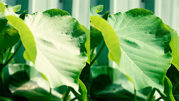 動態攝影需使用哪些濾鏡? - 杰客森林